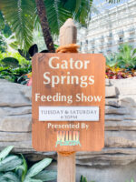 Gaylord Palms Resort: All-Inclusive Family Friendly Guide